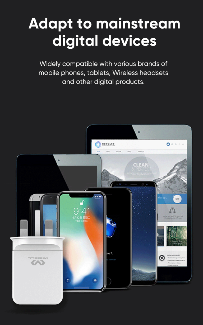 Miccell 5v 2.4a With Dual Port USB Wall Charger | PLUGnPOINT