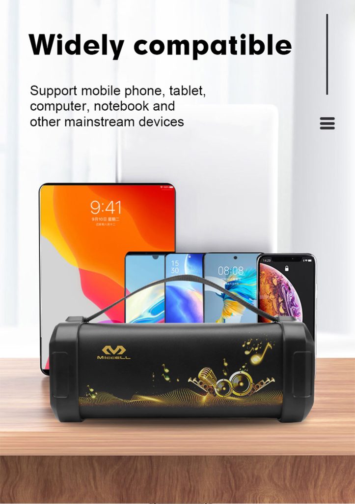 Miccell Wireless Portable Bluetooth Speaker | PLUGnPOINT
