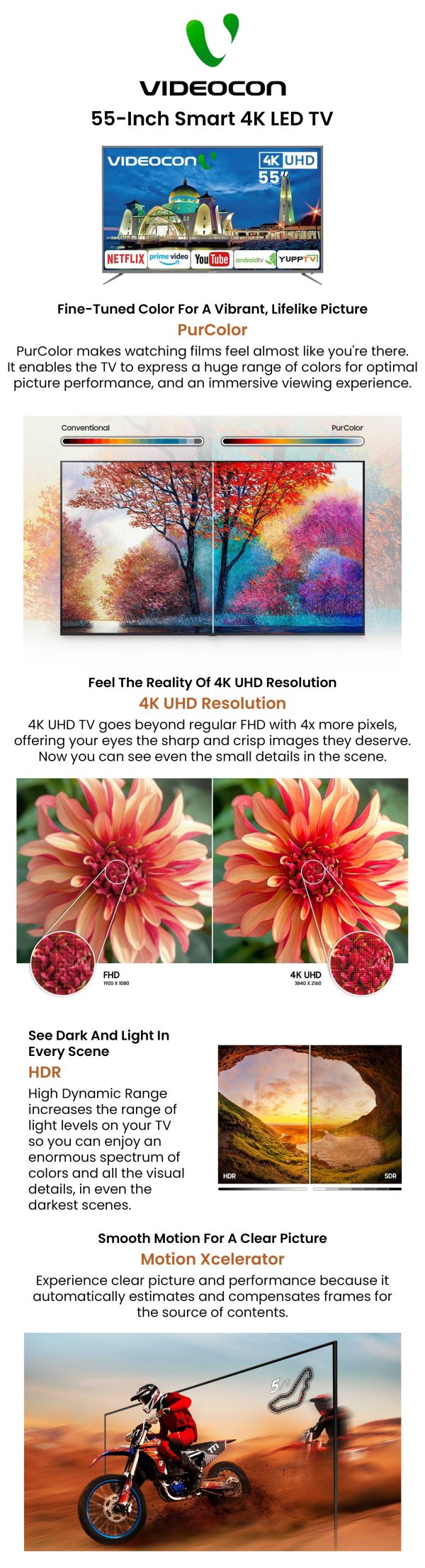 Videocon E55EP1100 55-Inch 4K LED UHD Smart TV | PLUGnPOINT