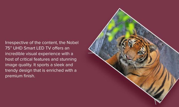 Nobel UHD75LEDS 75 Inch 4K UHD Smart LED TV | PLUGnPOINT