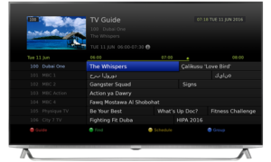 Humax HD Digital Satellite Receiver - F1-Mini Pro | PLUGnPOINT